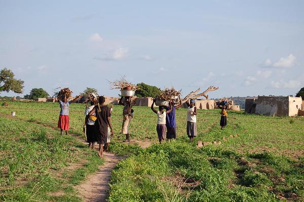 People and their work | The Kasena with their colours and sounds